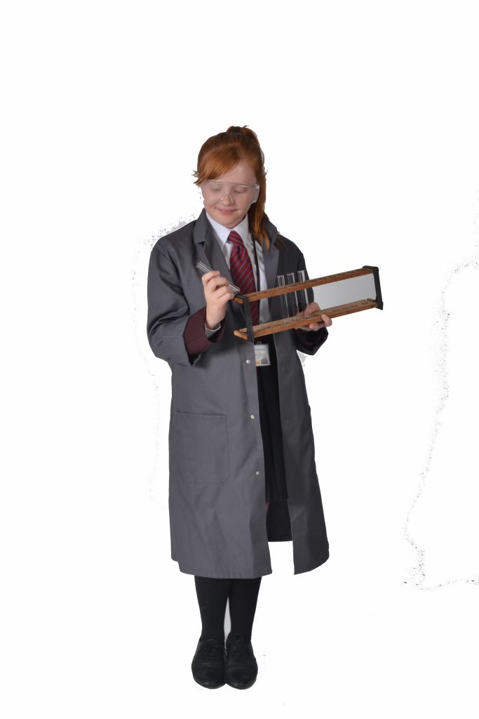 Year 7 & 8 Curriculum – Belfairs Academy